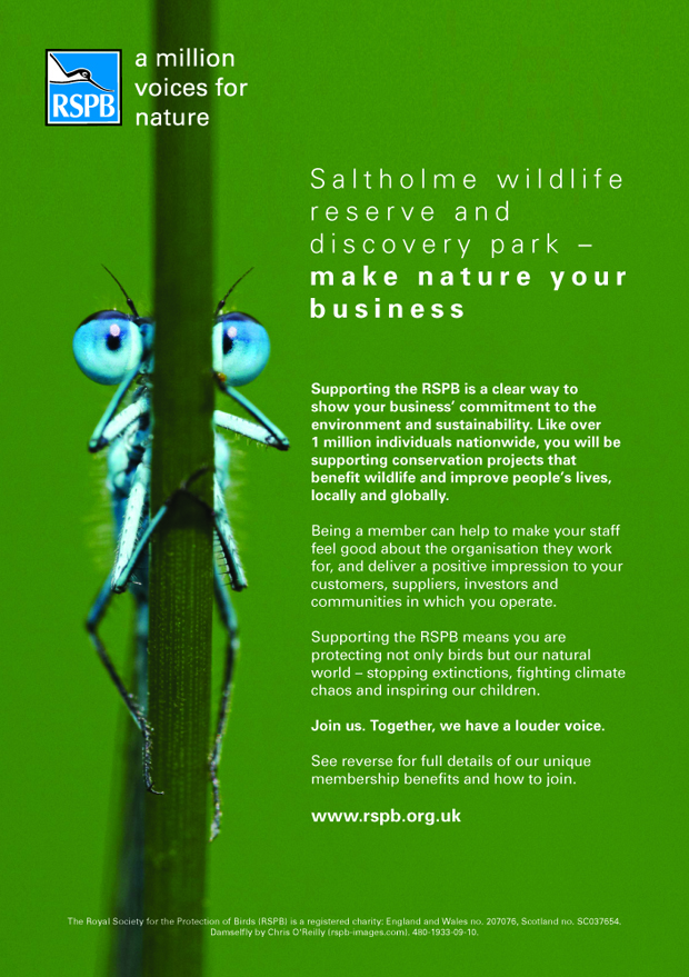 Adrenaline Creative RSPB Radio & National Print Ads - Adrenaline Creative